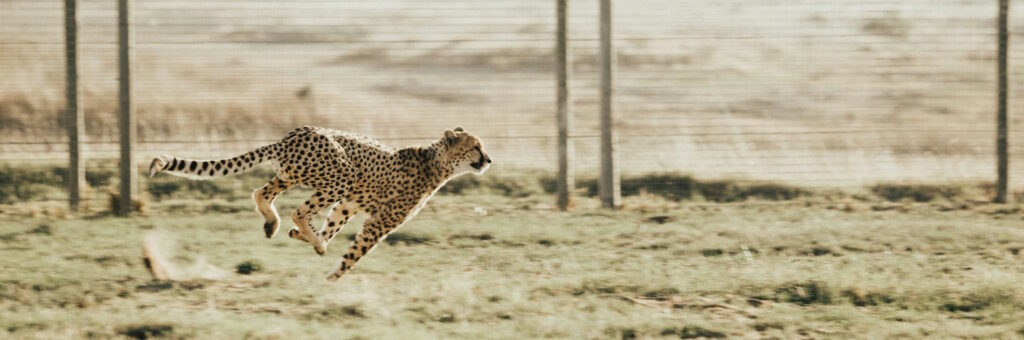 Codefresh in the Wild: building Pastr | Codefresh